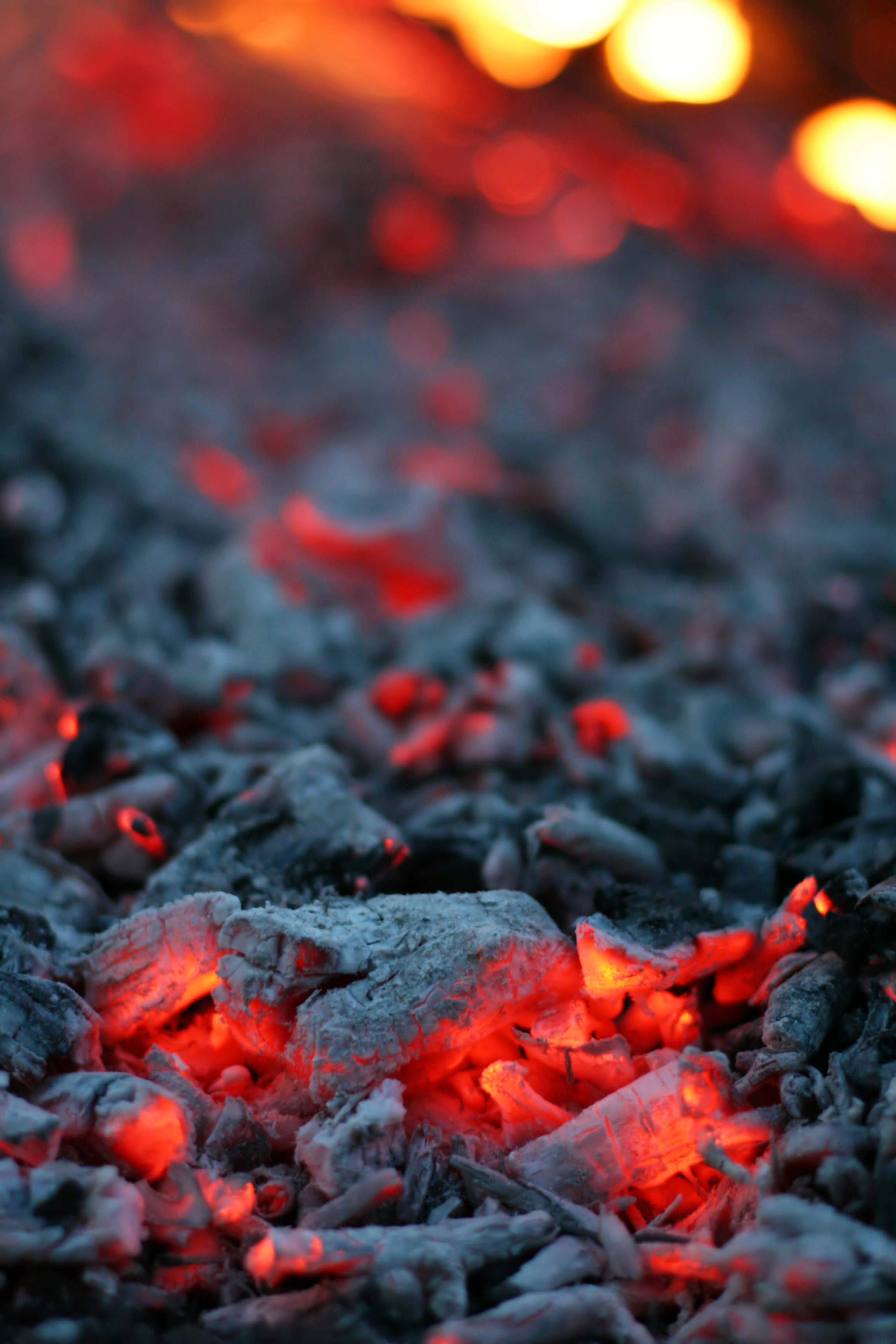 Hokku Designs Live Coal by Danijelm - Wrapped Canvas Photograph | Wayfair