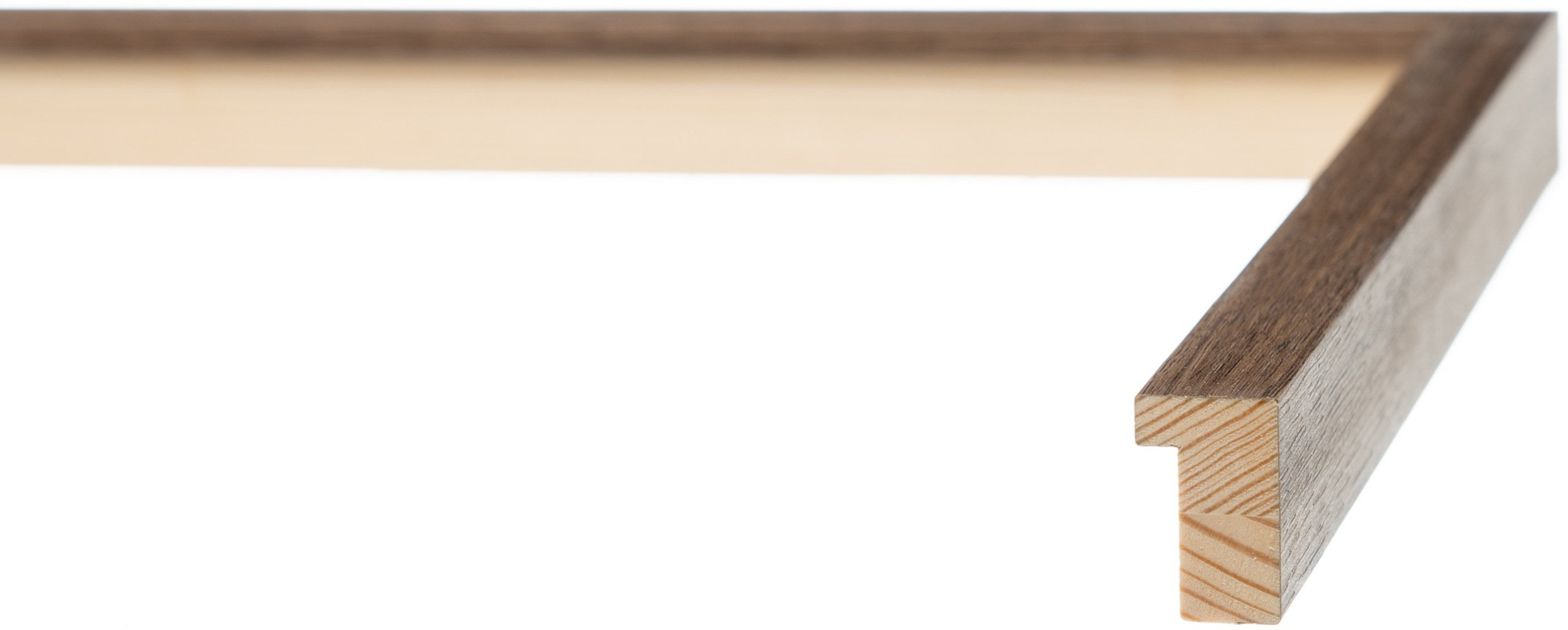 Trinx " Party Animal I " by Jessica Mingo on | Wayfair