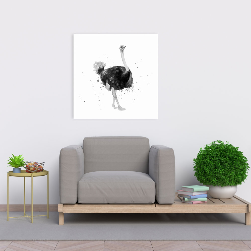 Begin Edition International Inc. Proud Ostrich Canvas | Exotic Bird ...