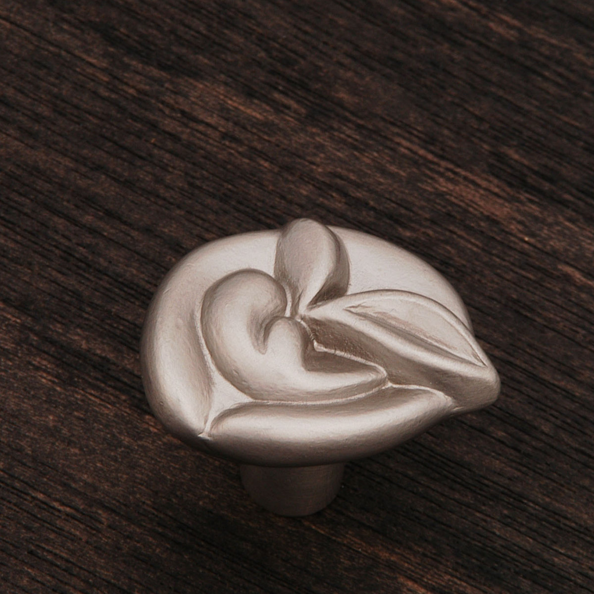 Rk International Fruit Leaf Knob CK Series | Wayfair