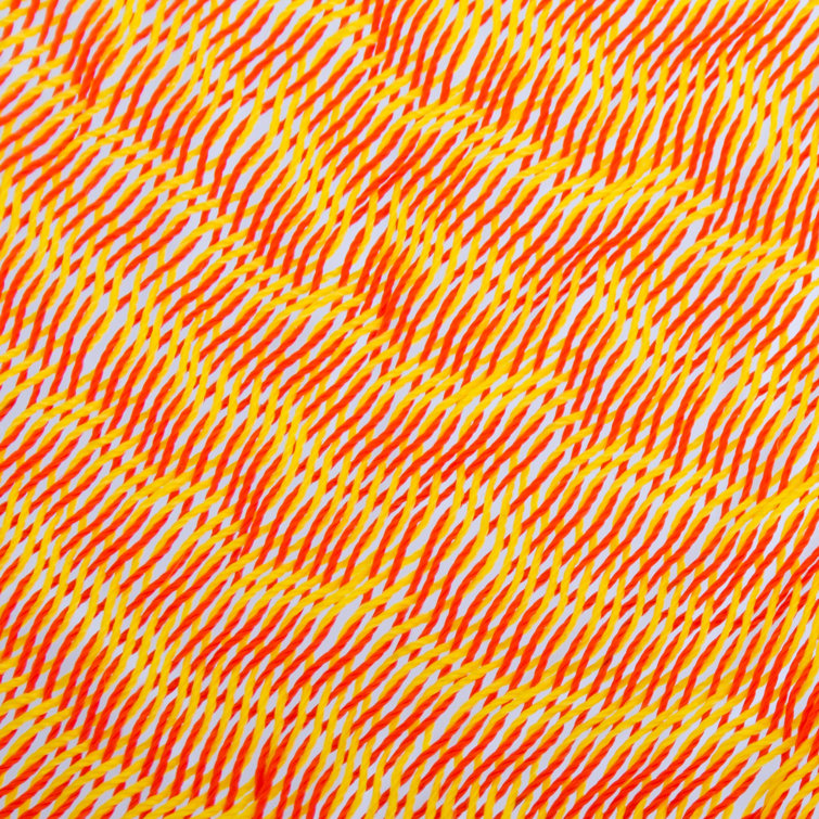 Hokku Designs Abernon Camping Hammock - Wayfair Canada