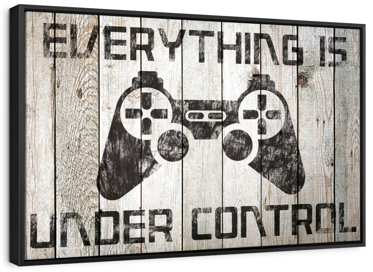 Winston Porter Everything Is Under Control Canvas Print | Wayfair