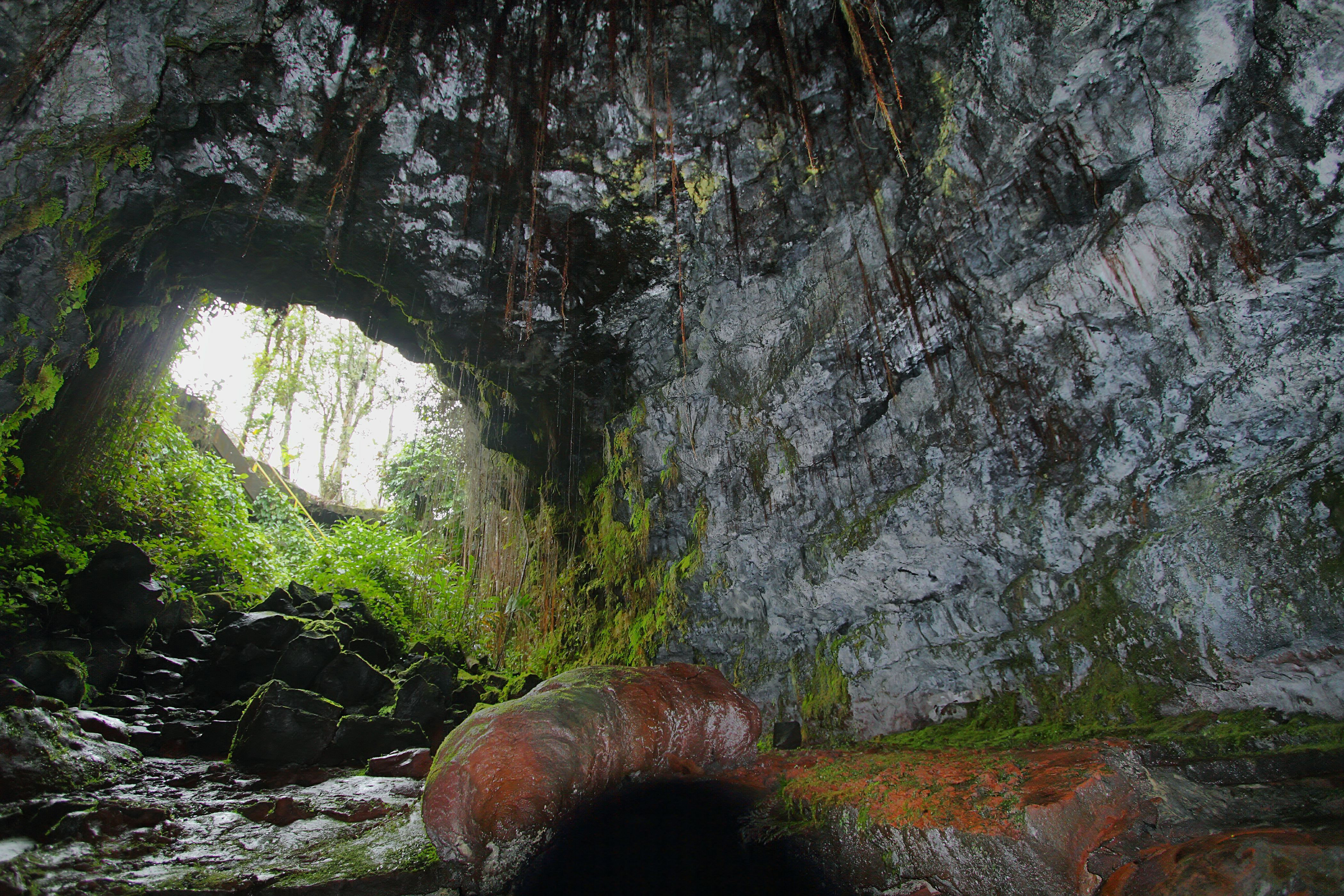 Millwood Pines Kaumana Caves by - Print - Wayfair Canada