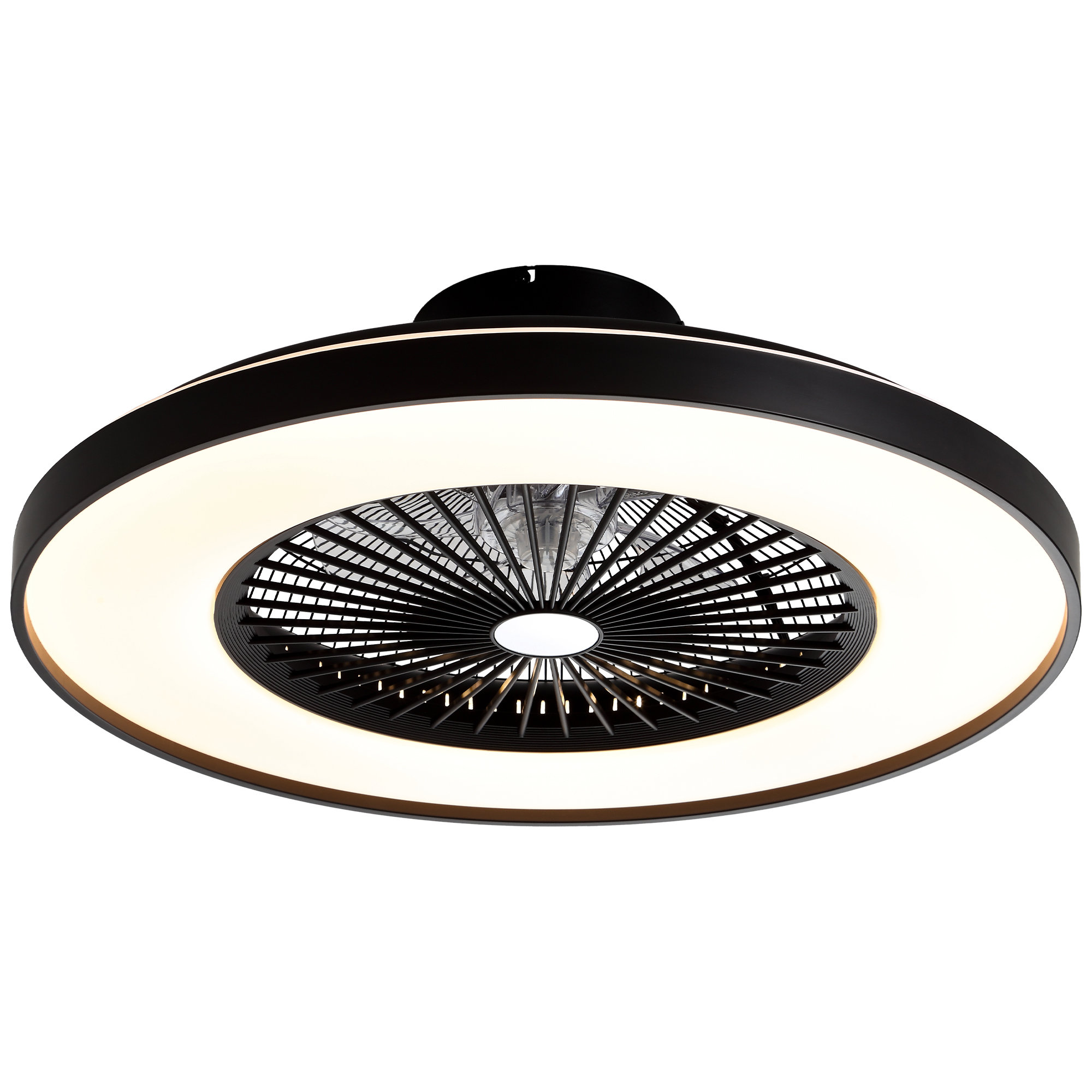 Ivy Bronx 23-in Flush Mount RGB Dimmable LED Ceiling Fan with Light and ...