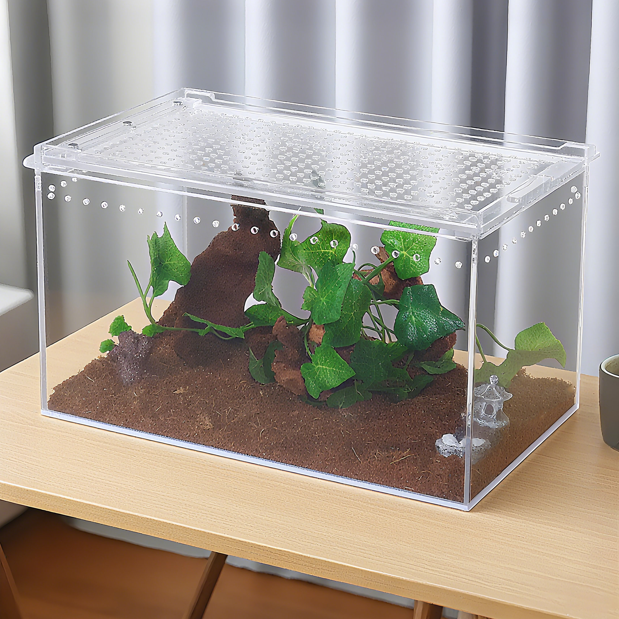 CHAIREZ Clear Acrylic Reptile Terrarium: 10X6x6 Inch Magnetic Enclosure ...