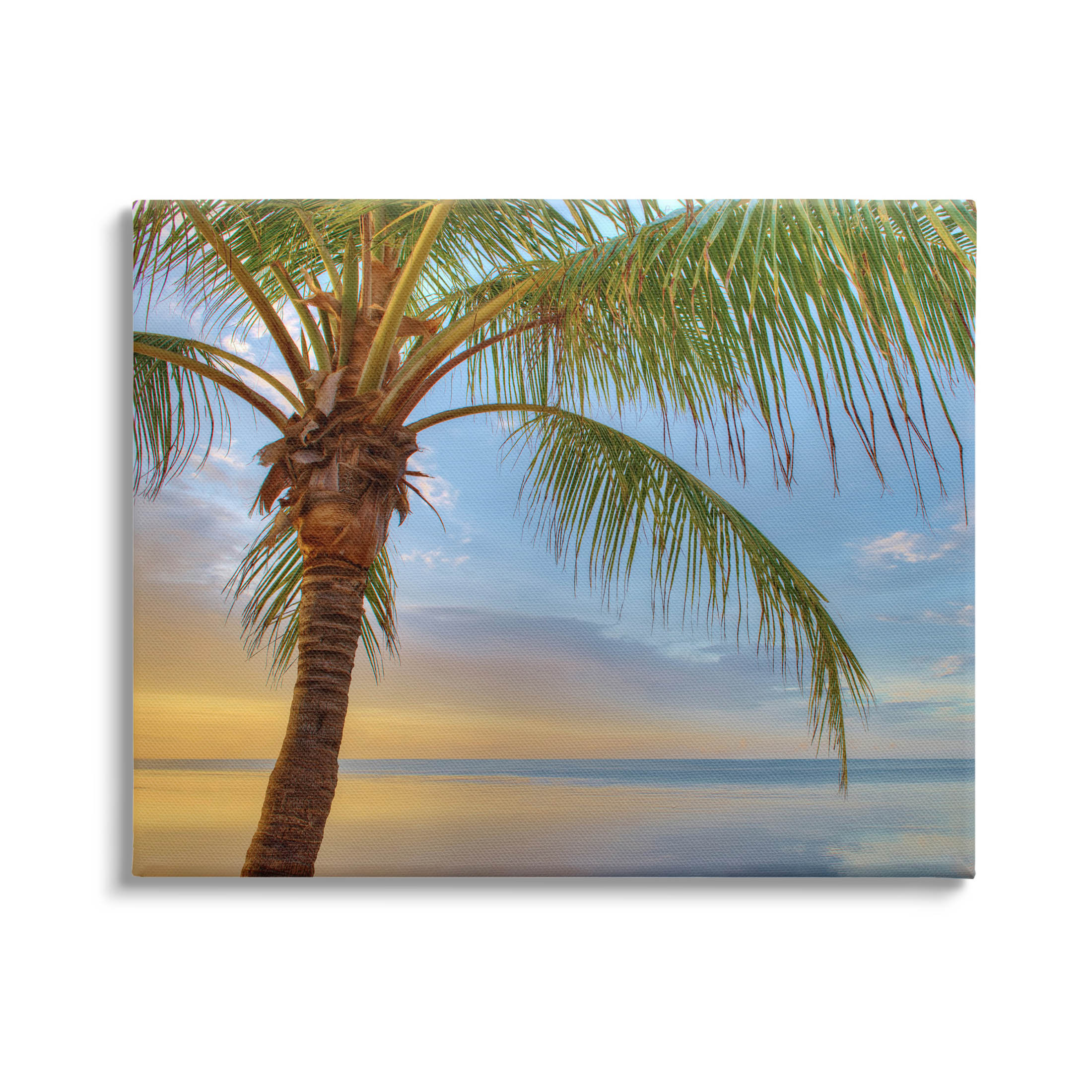 Stupell Industries Sunrise Palm Tree Sky Reflection Canvas Wall Art By ...