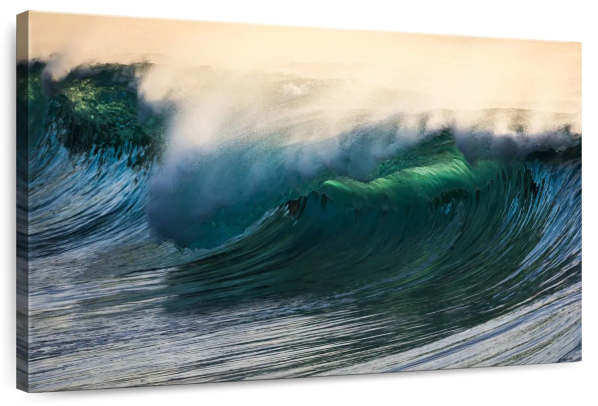 Elephant Stock Giant Ocean Wave | Wayfair