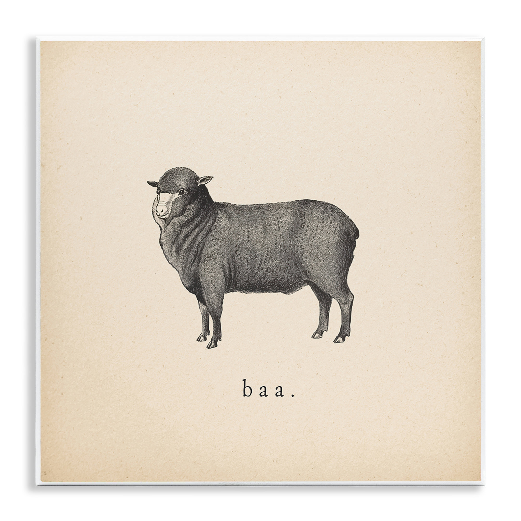Bungalow Rose Baa Farm Sheep Sounds Wall Plaque Art by Wild Apple ...
