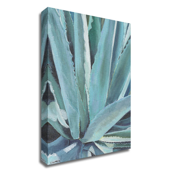 HomeRoots Blue Agave On Canvas Print | Wayfair