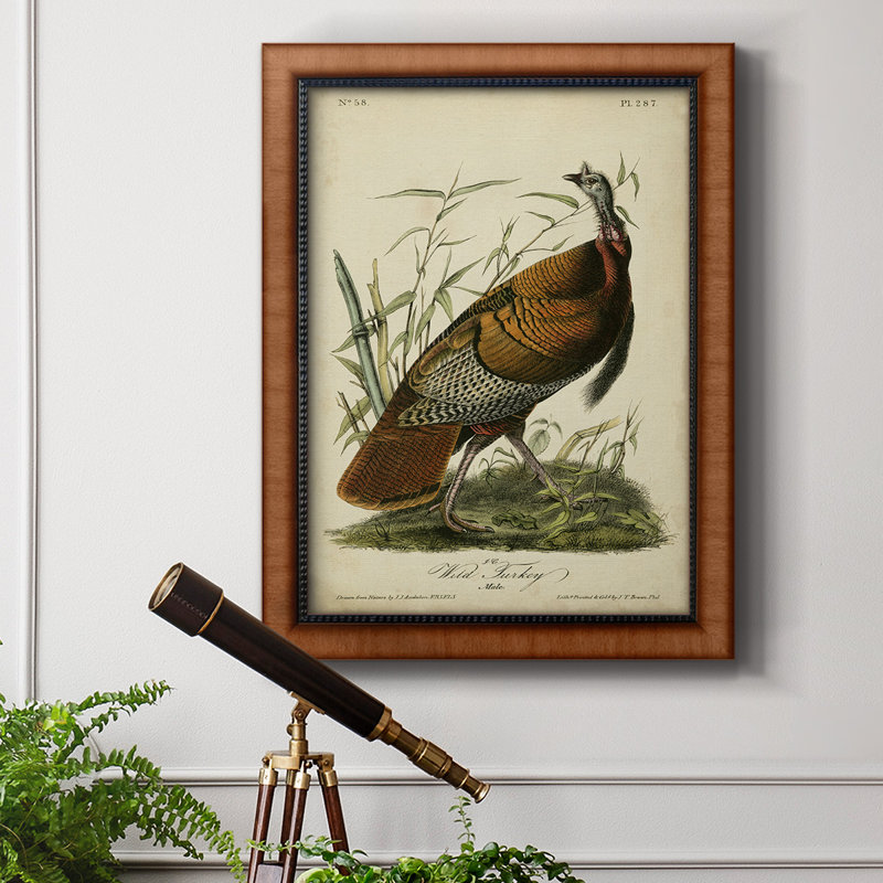 The Holiday Aisle® Audubon Wild Turkey Framed On Canvas Painting | Wayfair