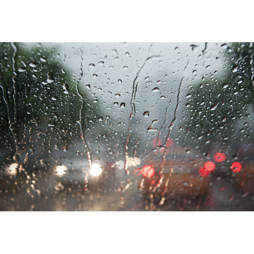 Ebern Designs Rain On Canvas Print | Wayfair