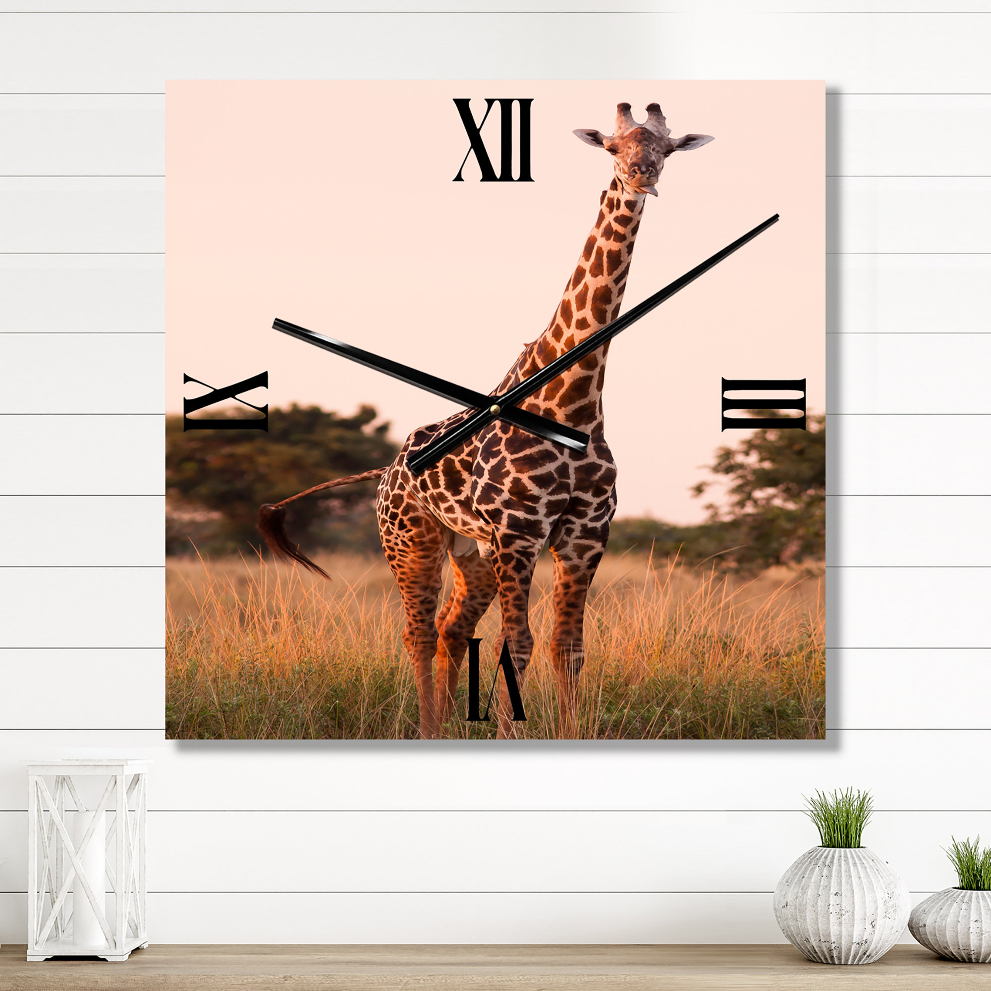 giraffe clocks