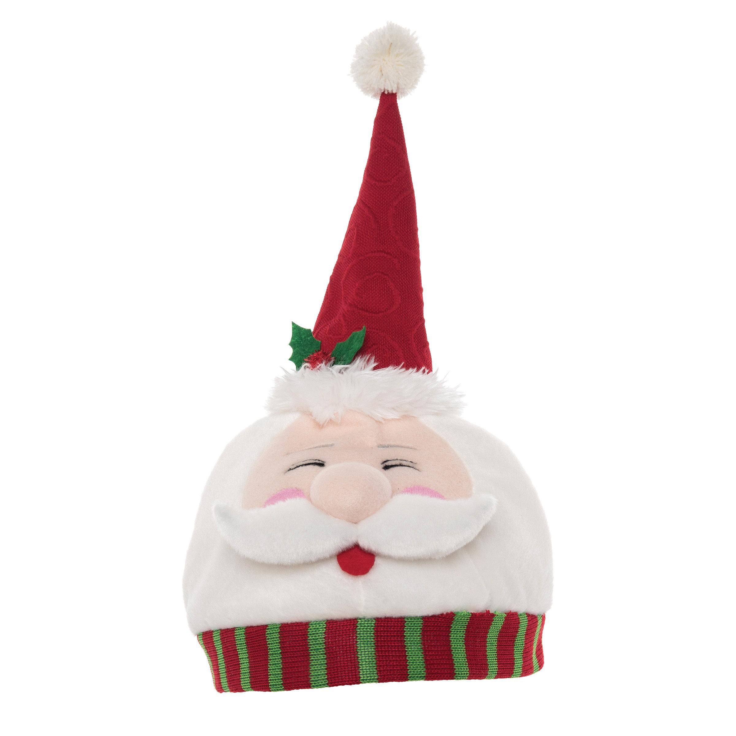 The Holiday Aisle® Holly Jolly Santa Hat | Wayfair