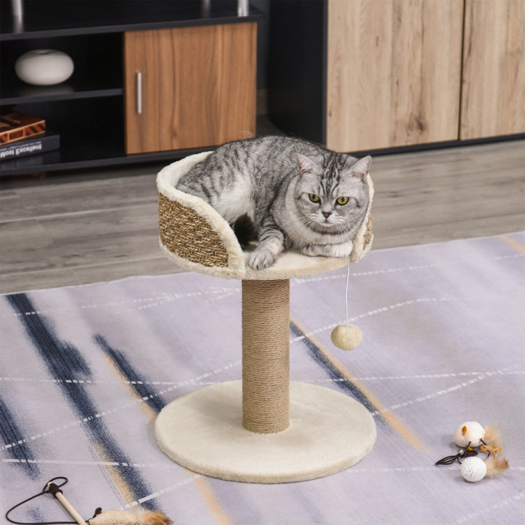 Archie & Oscar Middleborough Cat Perch | Wayfair.co.uk