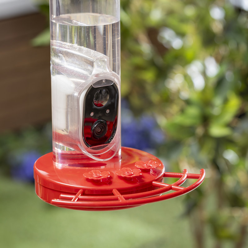 Arlmont & Co. Shirrel LED Smart Hummingbird Feeder with Camera | Wayfair