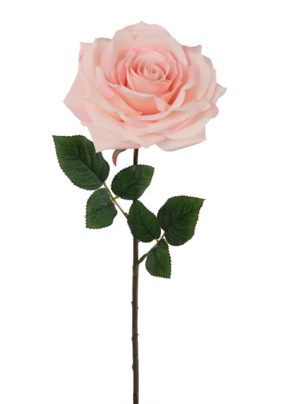 Primrue Pyle Roses Stem - Wayfair Canada