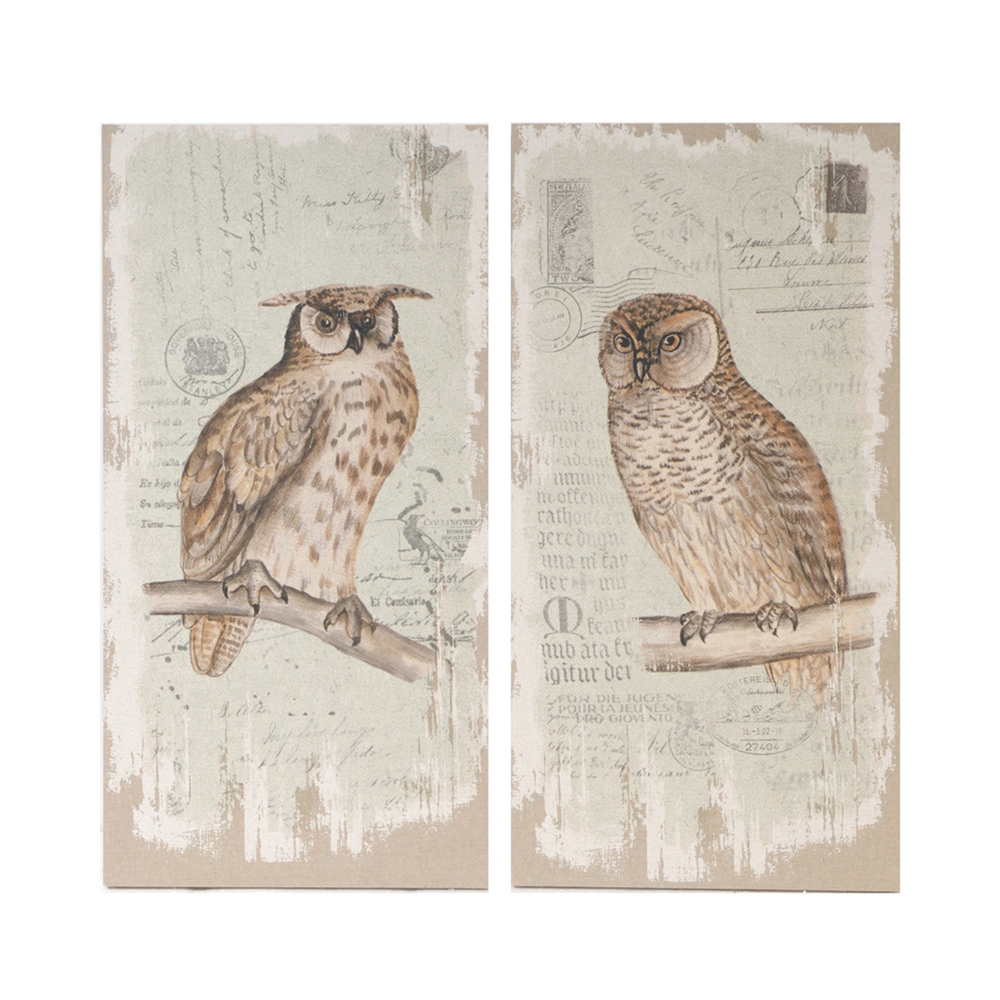 One Allium Way® Set of 2 Lilith Owl Prints with Distressed Look | Wayfair