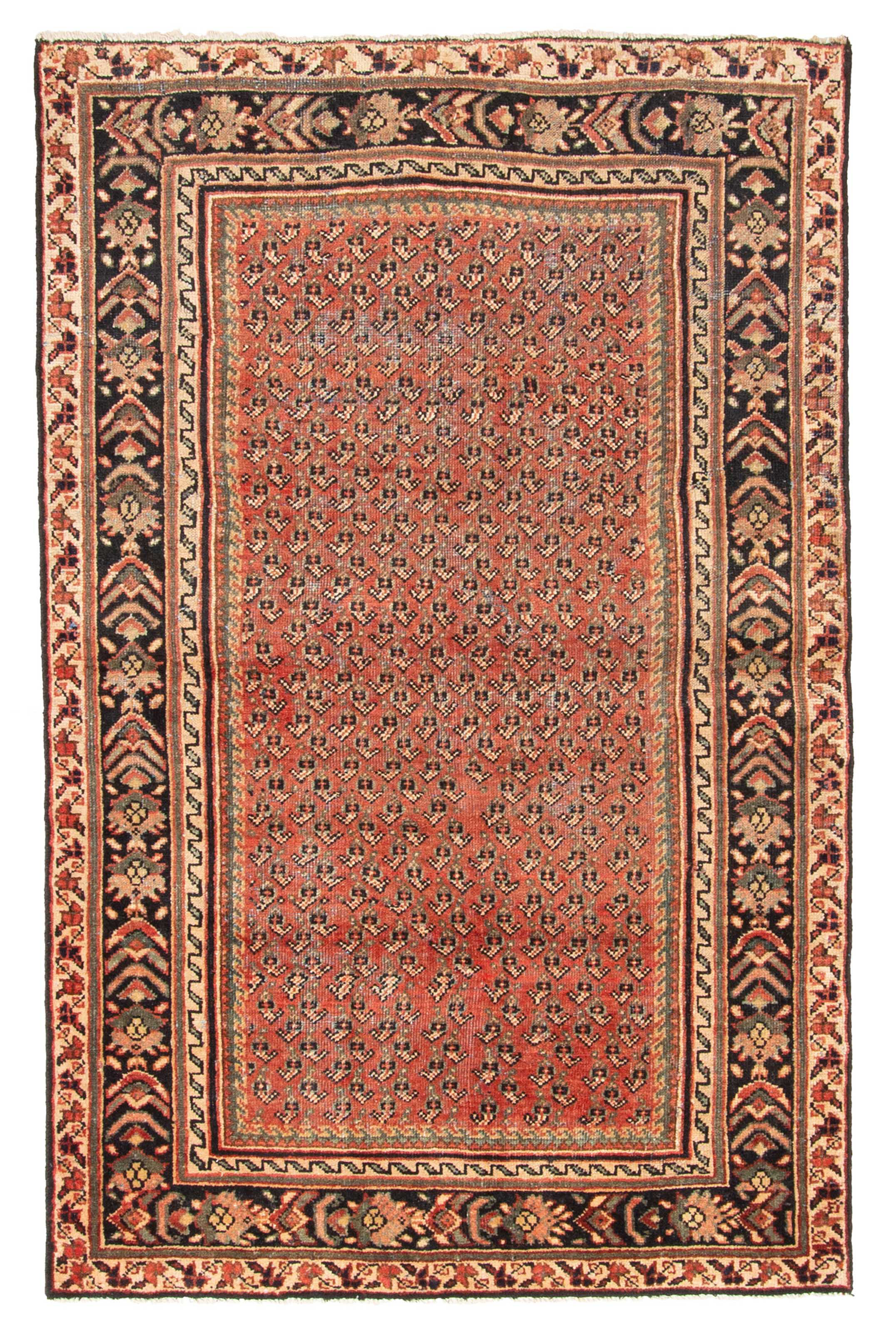 Bloomsbury Market Andelz Copper Rug 4'3" x 6'9" - Wayfair Canada