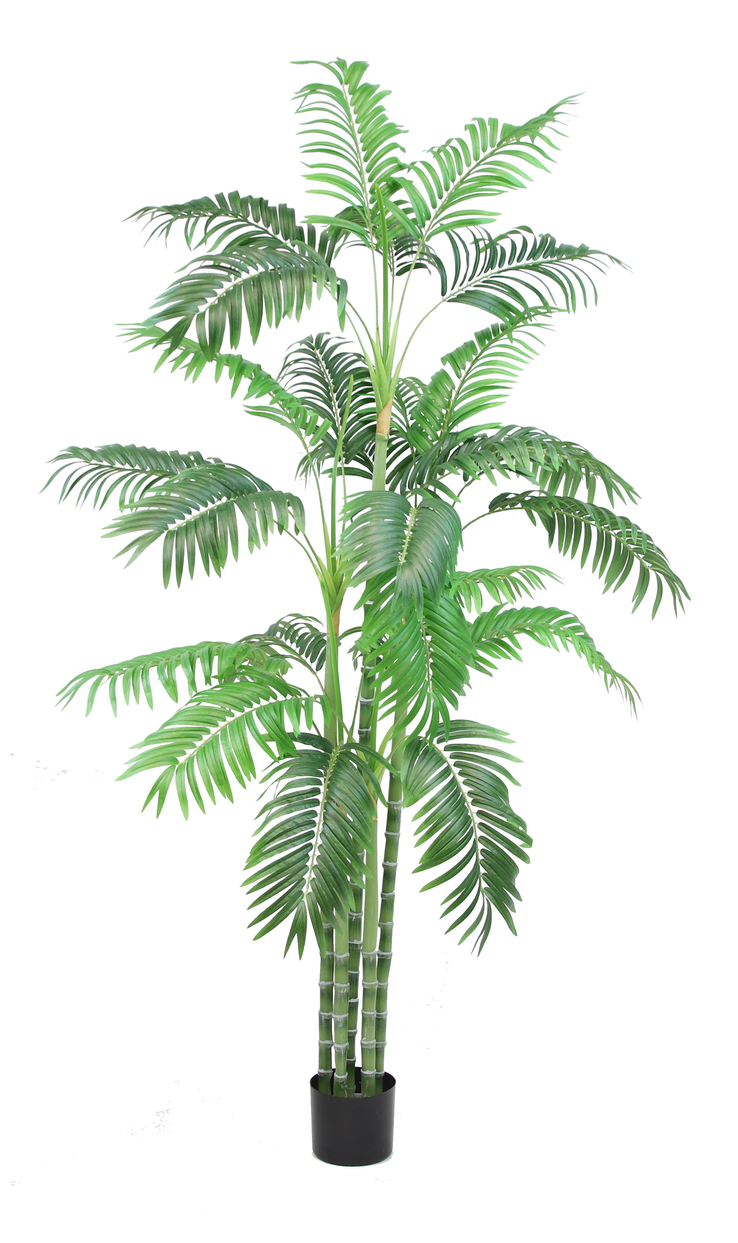 Primrue 72" GOLDEN PALM TREE | Wayfair