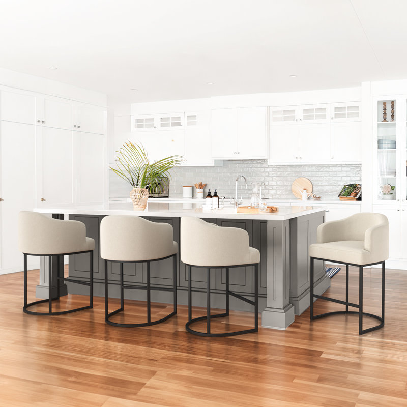 Wade Logan® Canio 27" Counter Stool & Reviews | Wayfair