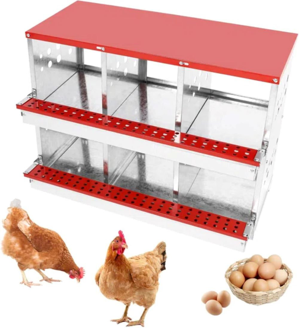 Archie & Oscar™ Erasmus Two-Tier Chicken Nesting Boxes,6 Compartment ...