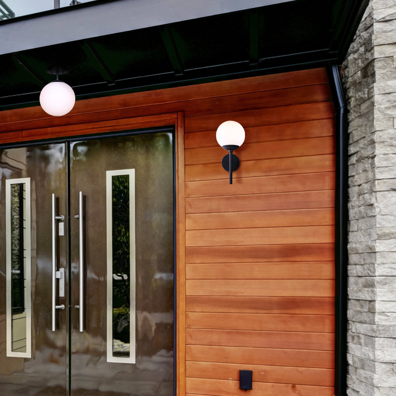 Latitude Run® Annaros Steel Wall Light & Reviews | Wayfair