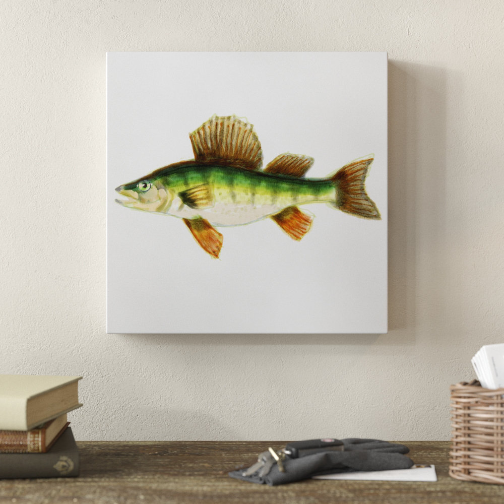 Millwood Pines 'Illustrated Yellow Perch' Painting on Wrapped Canvas ...
