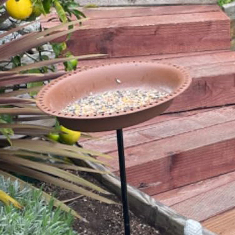Lark Manor™ 5-Prong Base Bird Bath with Metal Stake, Detachable ...