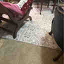 Langley Street Benfield Beige Machine Washable Area Rug & Reviews ...