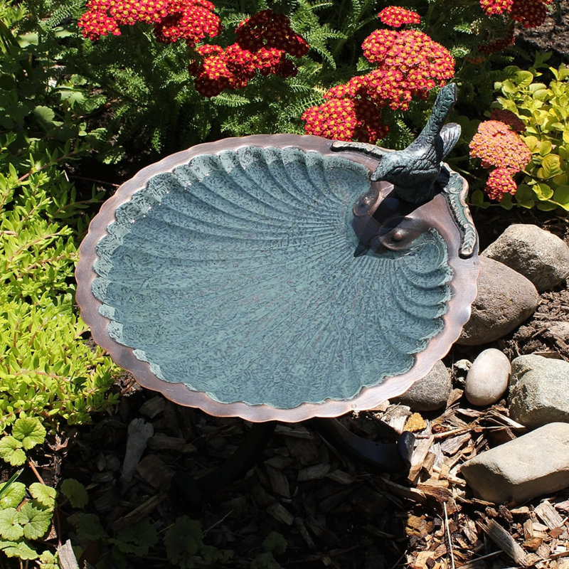 Ophelia & Co. Scallop Shell Birdbath with Tripod Stand | Wayfair