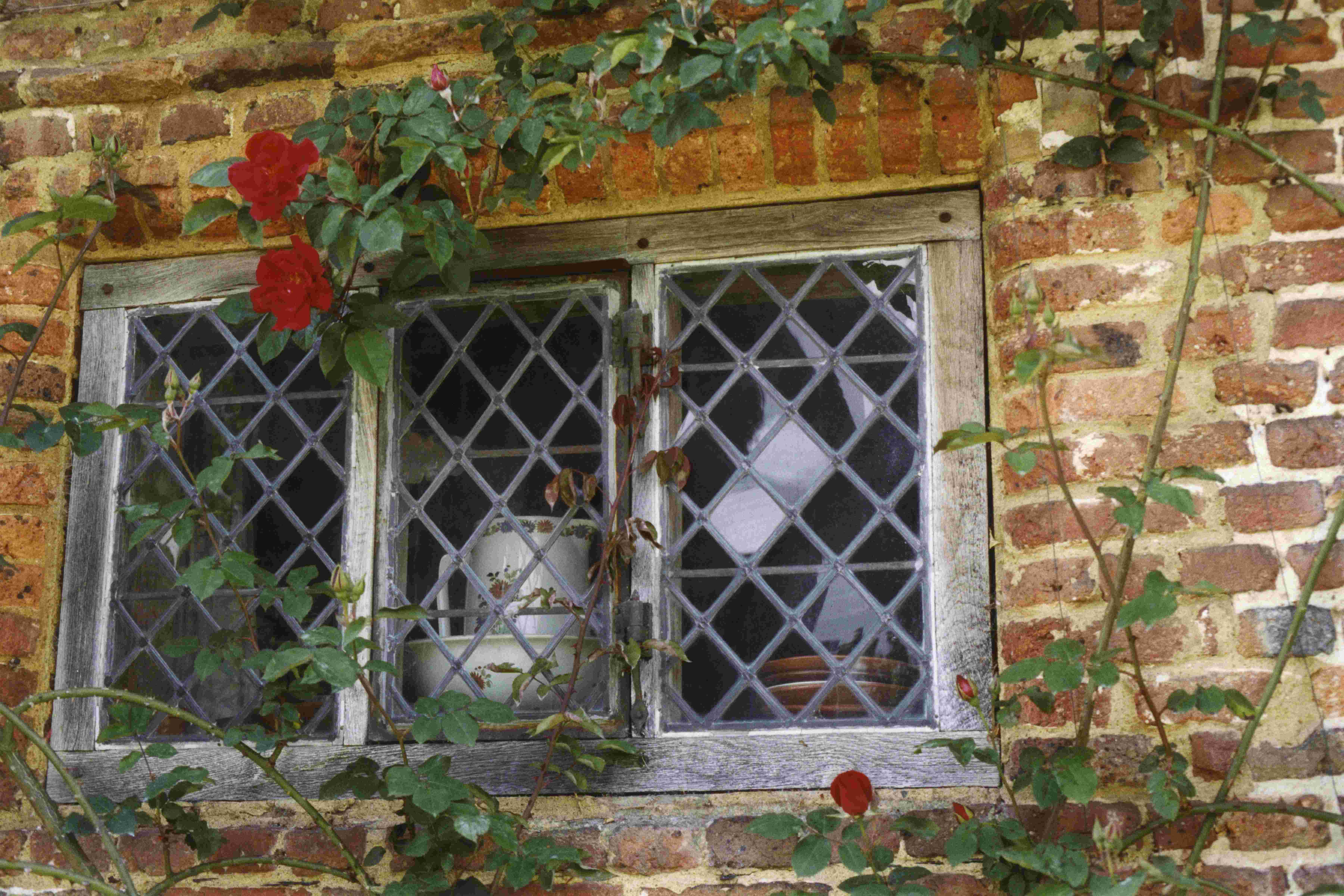 Gracie Oaks Pitcher Window - Wayfair Canada