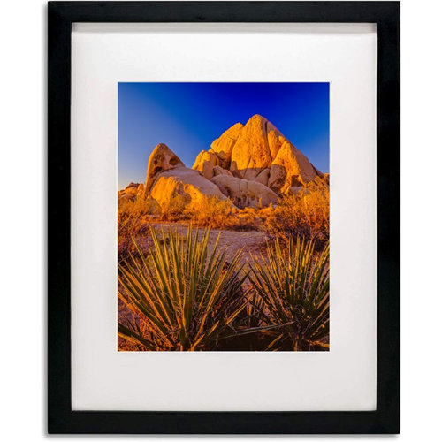 Wayfair | Extra Large (Over 20") Picture Frames You'll Love in 2023