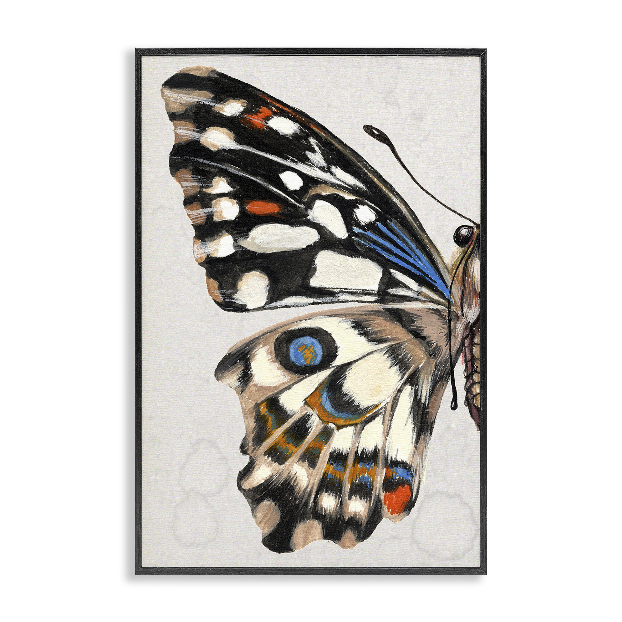 Stupell Industries Spotted Butterfly Wing Giclee Art by Melissa Wang ...