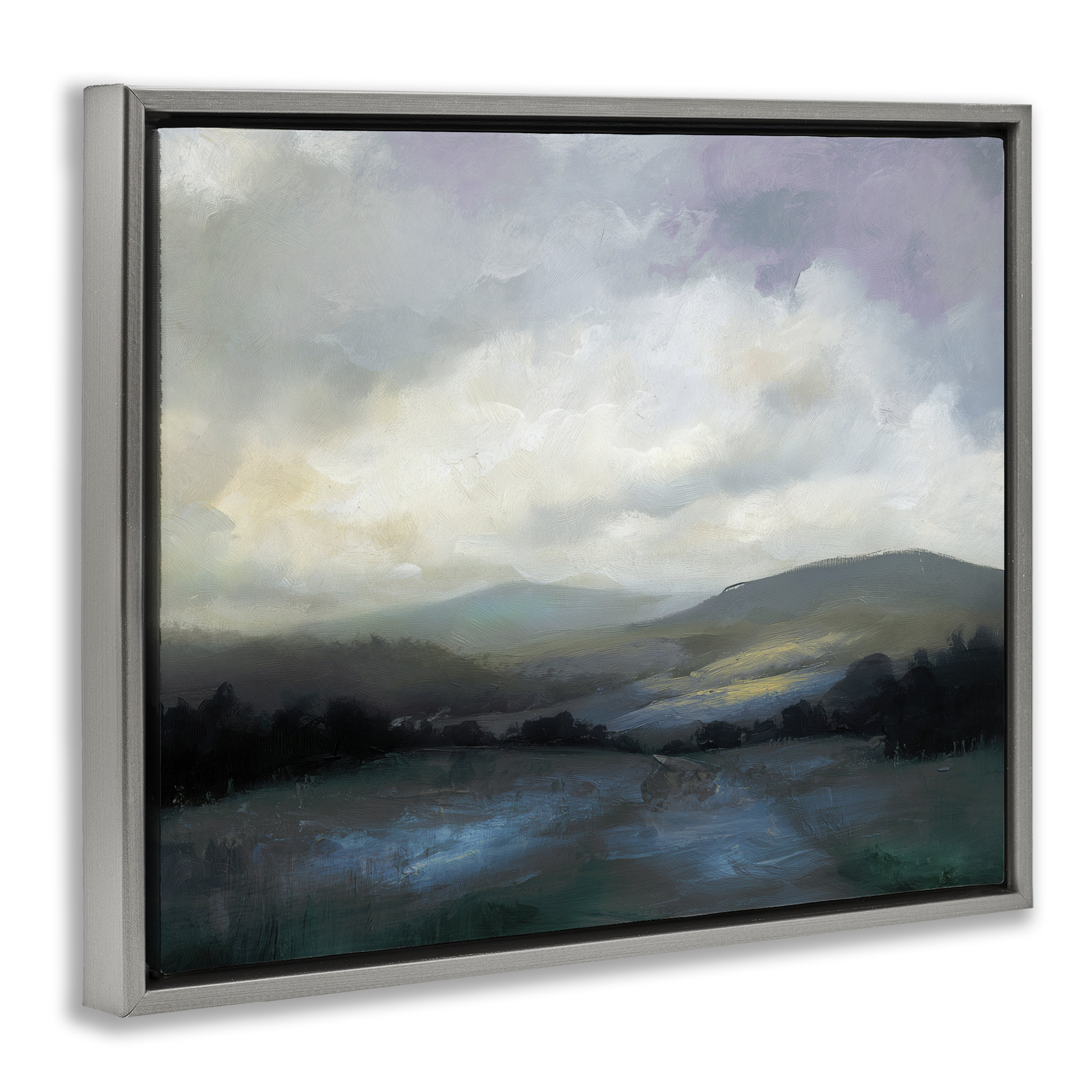 Bayou Breeze Refreshed Quiet Mountainscape Floating Frame, design by ...