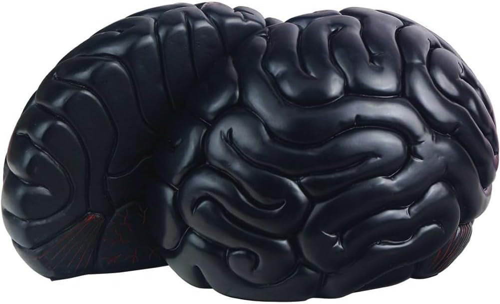 Hokku Designs 6.5Inch Tall Brain Decorative Resin Book Shelf Organizers ...