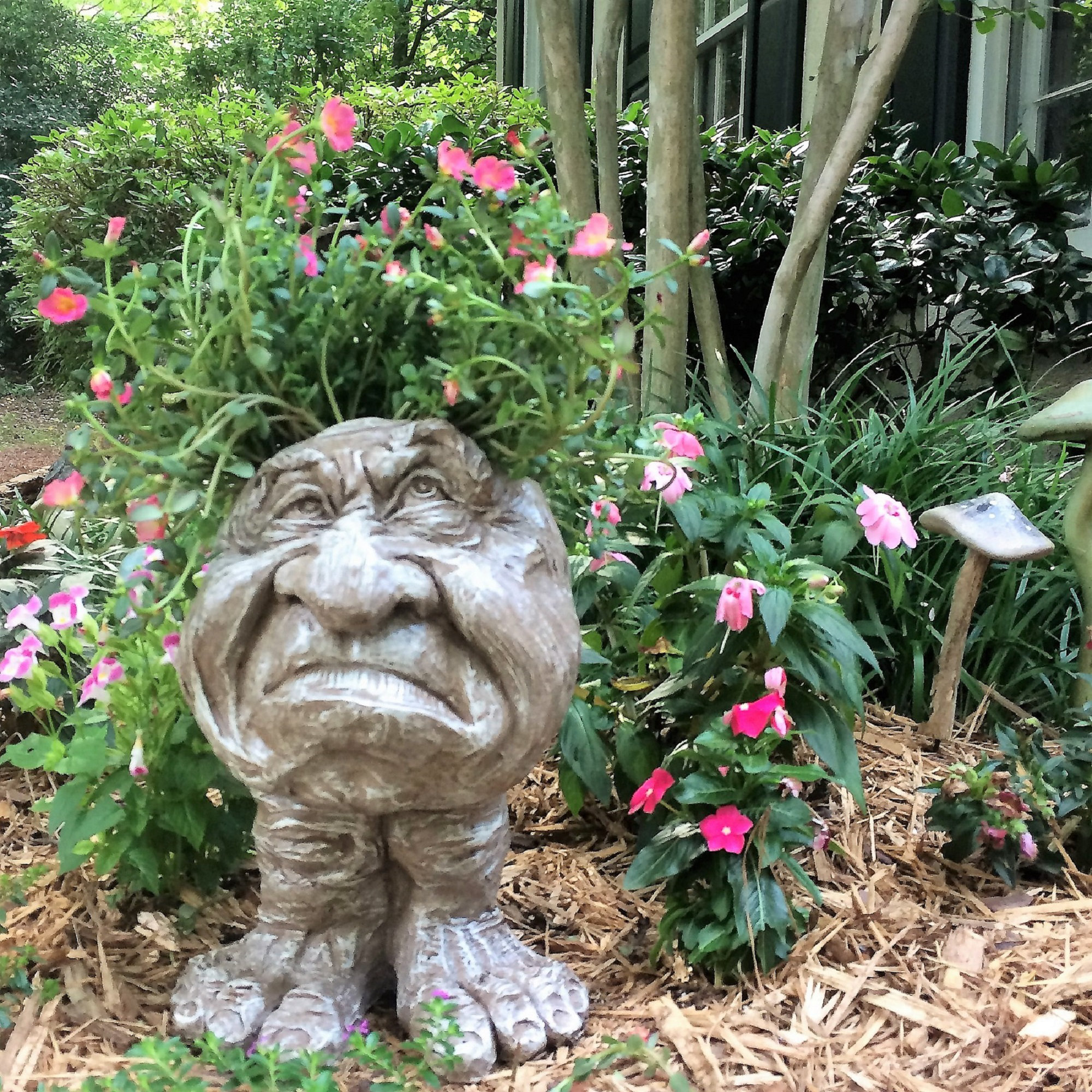 HomeStyles Muggly's Grumpy Gramps Face Statue & Reviews | Wayfair