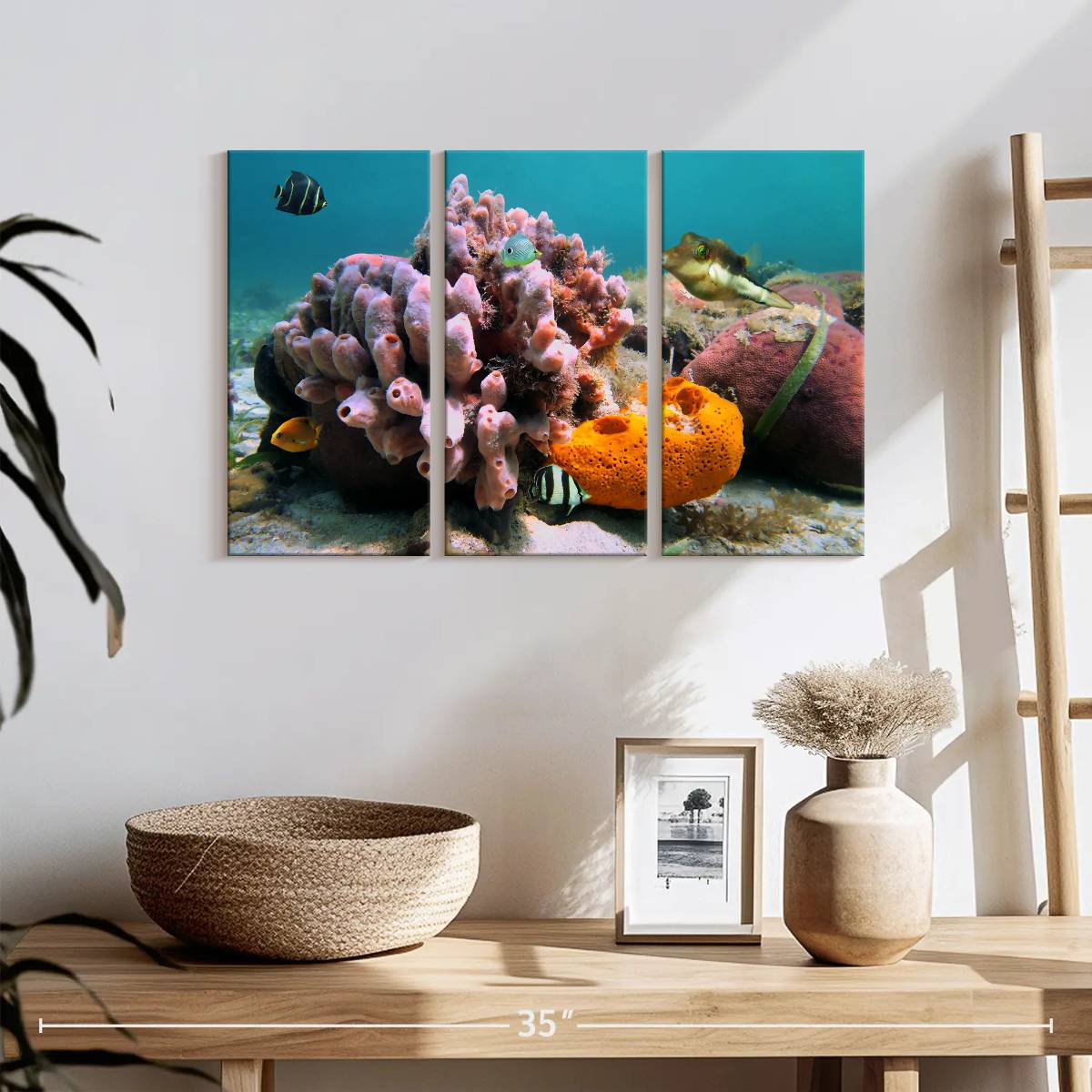 Ebern Designs Brampt Pink Sea Sponge | Wayfair