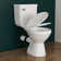 MaceratingFlo Rear Outlet Toilet With Powerful Flush & Space-Saving ...