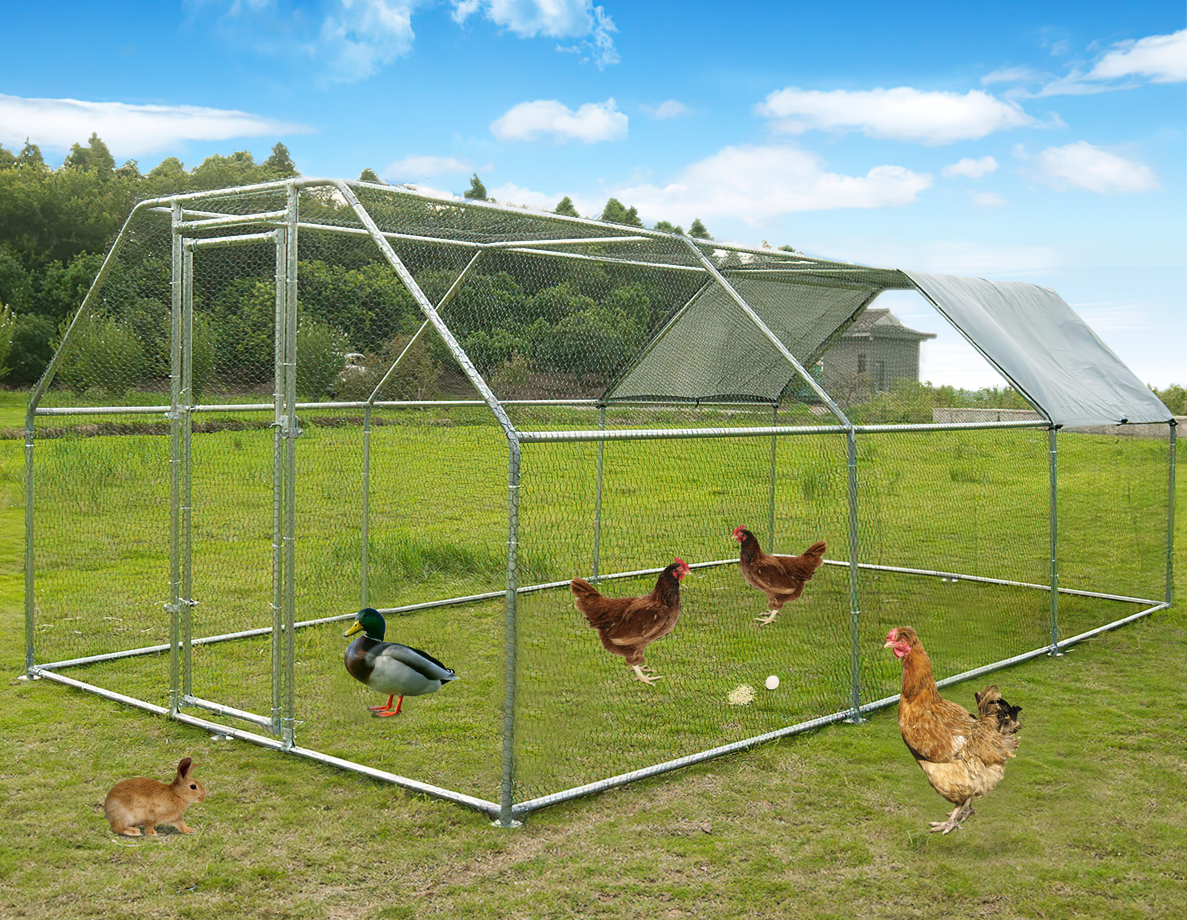Tucker Murphy Pet™ Adriell Walk In Chicken Run et Commentaires ...