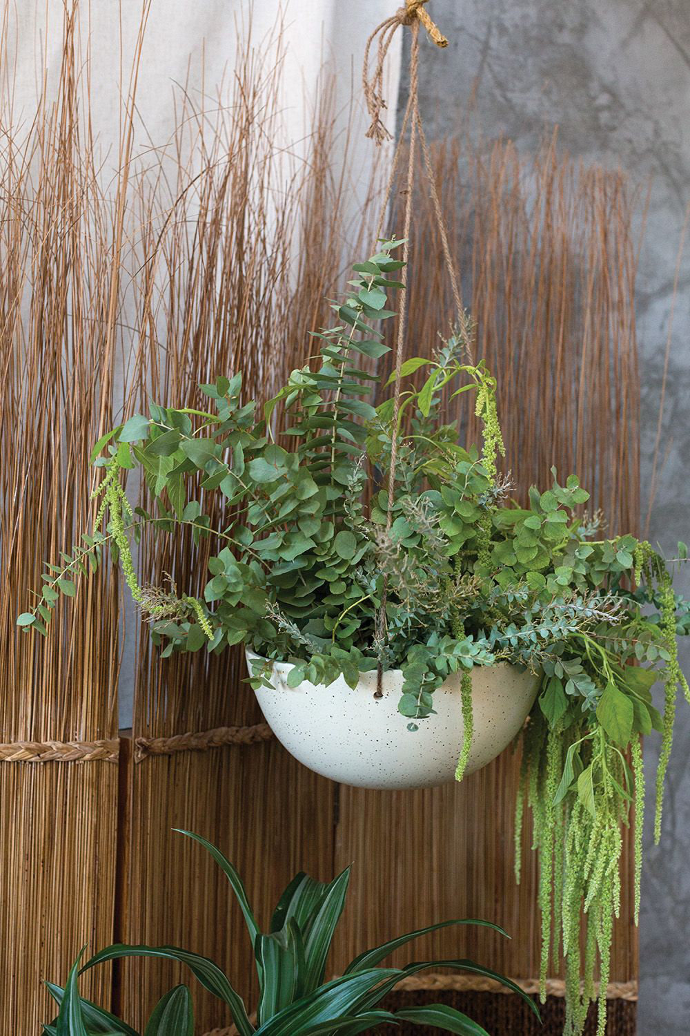 AllModern Cecelia Ceramic Hanging Planter - Wayfair Canada