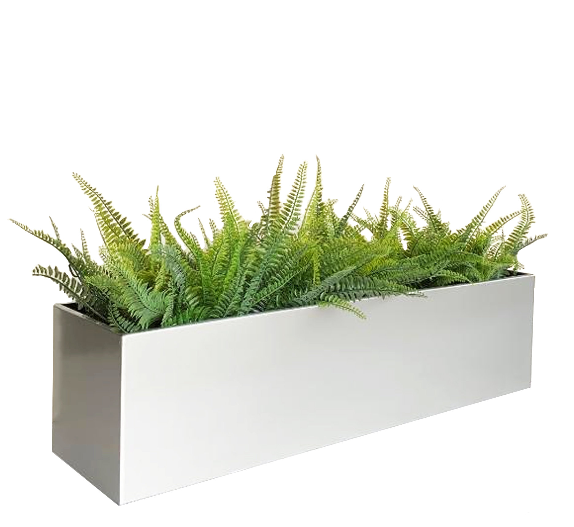 Symple Stuff Whitford Aluminum Planter Box & Reviews - Wayfair Canada