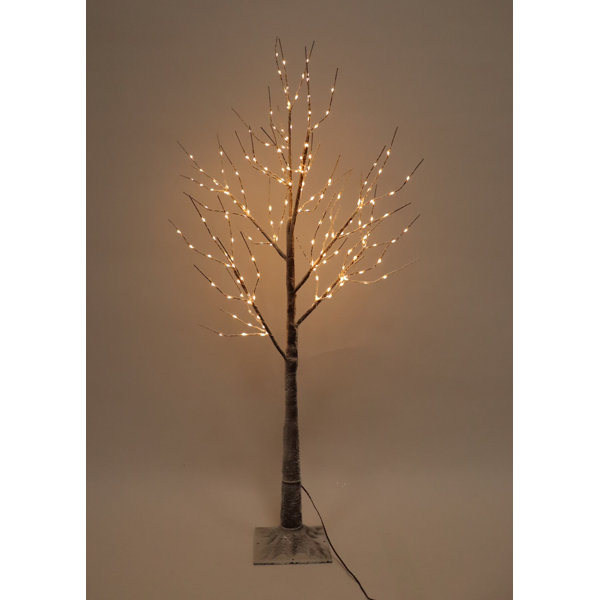 The Seasonal Aisle LED Indoor / Outdoor Lighted Trees & Branches ...