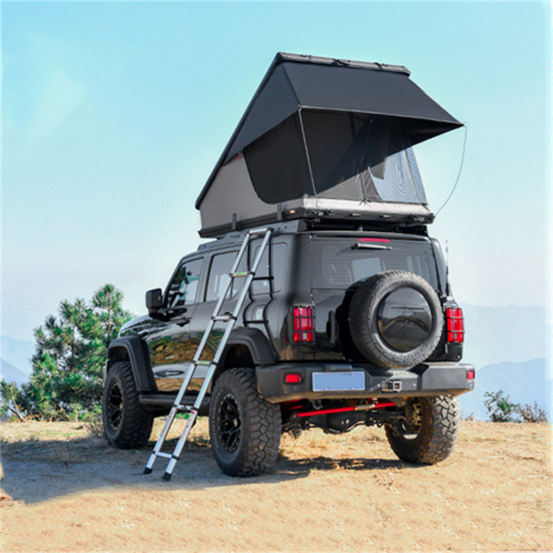 NARELECT With Ladder Roof Top Tent Hardshell Rooftop Tent For Van Jeep ...