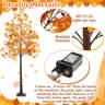Primrue 6FT/5FT/4FT Lighted Maple Trees 240LEDs Artificial Fall Trees ...