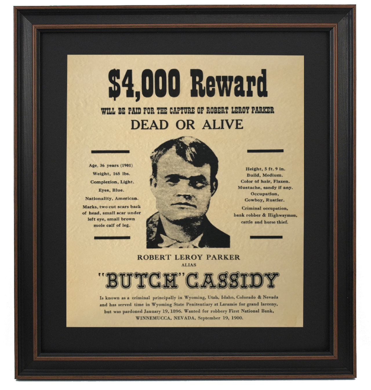 Trinx Butch Cassidy Wanted Poster - Picture Frame Textual Art Print On ...