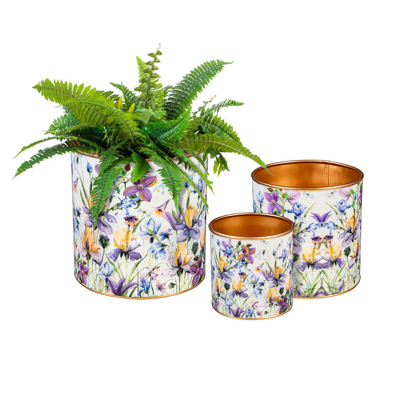 Lark Manor™ Golden Lilac Metal Planters, Set of 3 | Wayfair