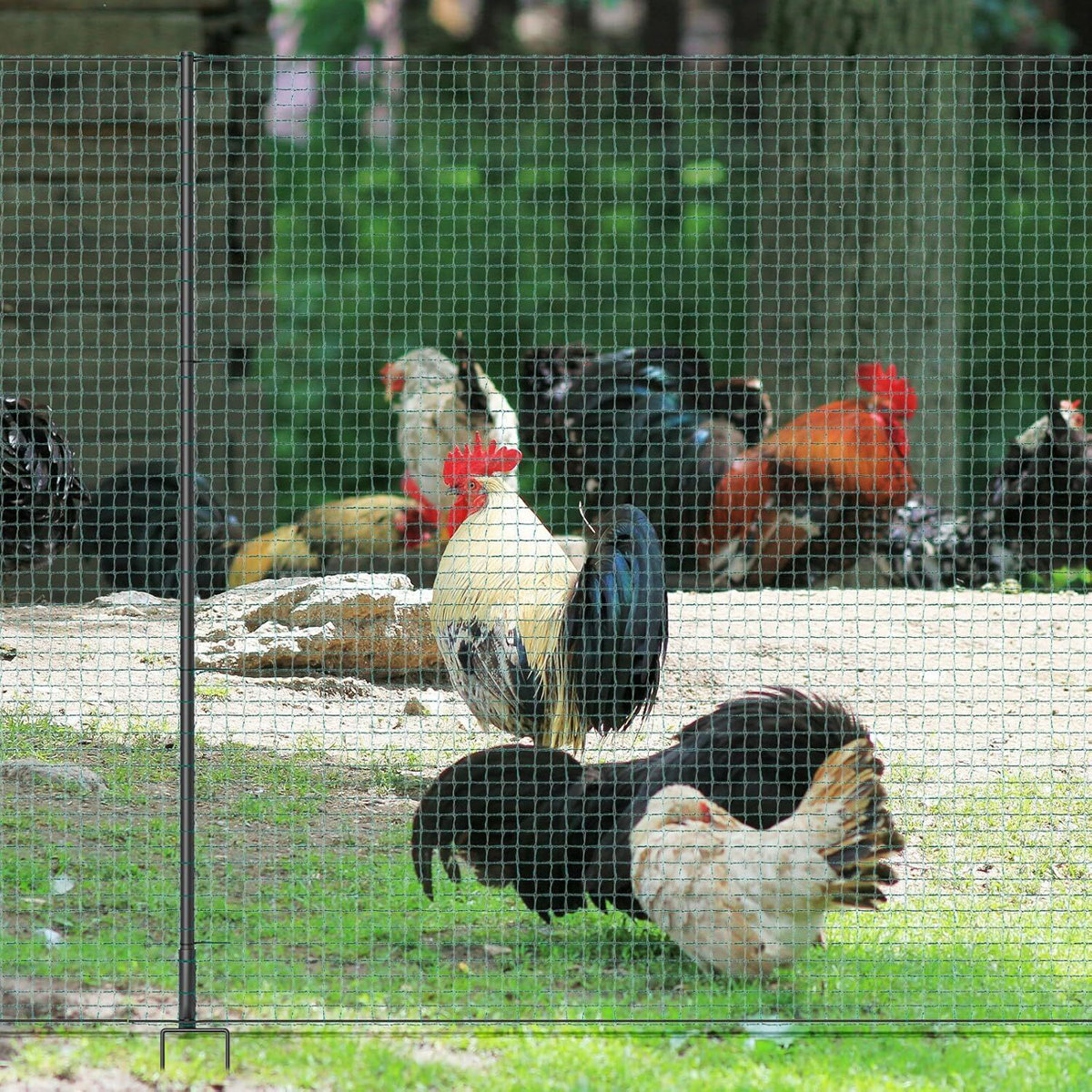 ShangQuan WuLiu Non Electric Fence Netting, Portable Movable Livestock ...