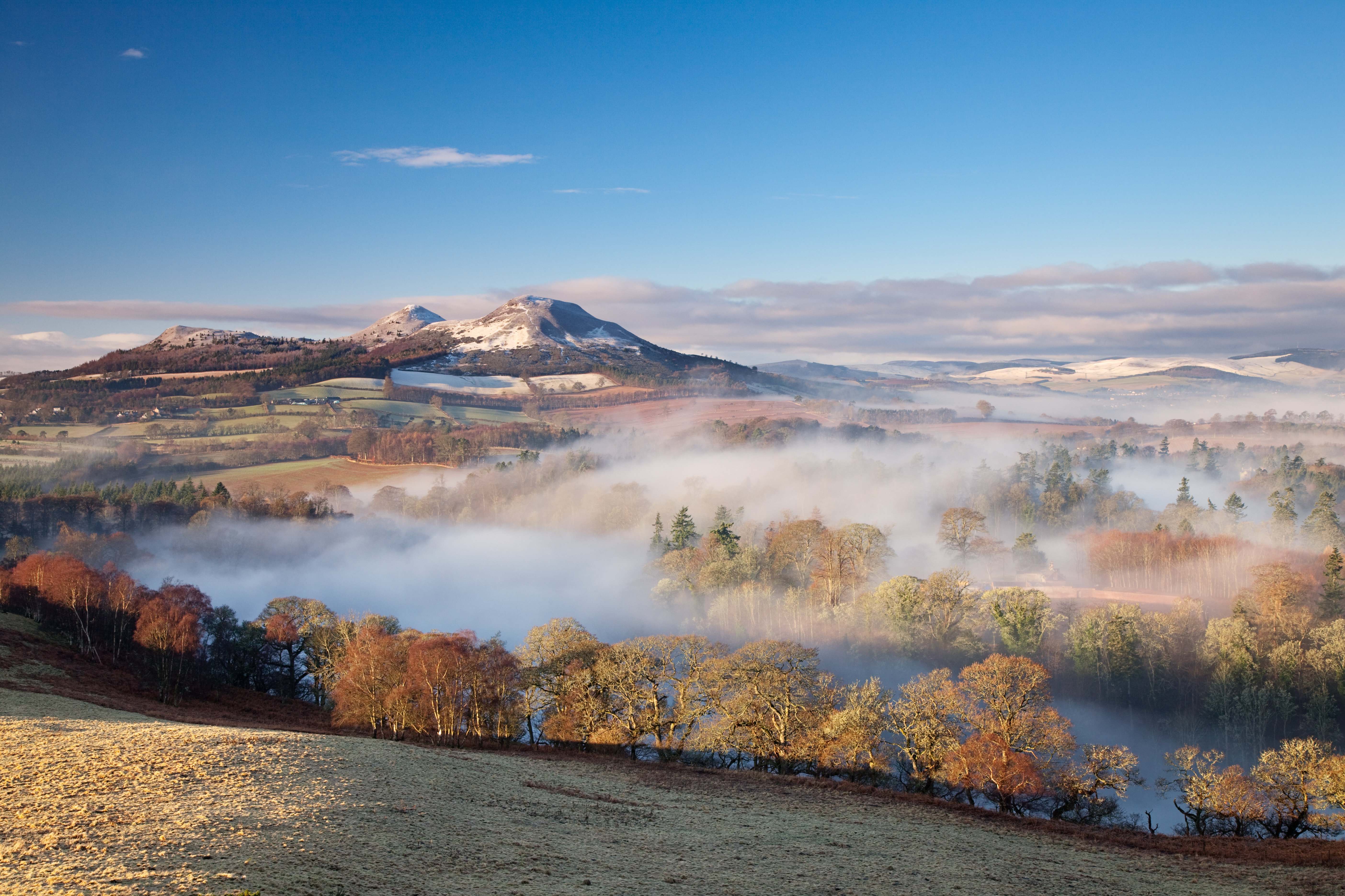 Millwood Pines Tregenna Eildons With Misty Valley On Canvas by Deanburn ...