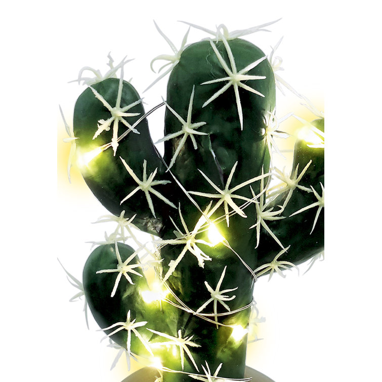 Ebern Designs Acel Novelty Lamp | Wayfair