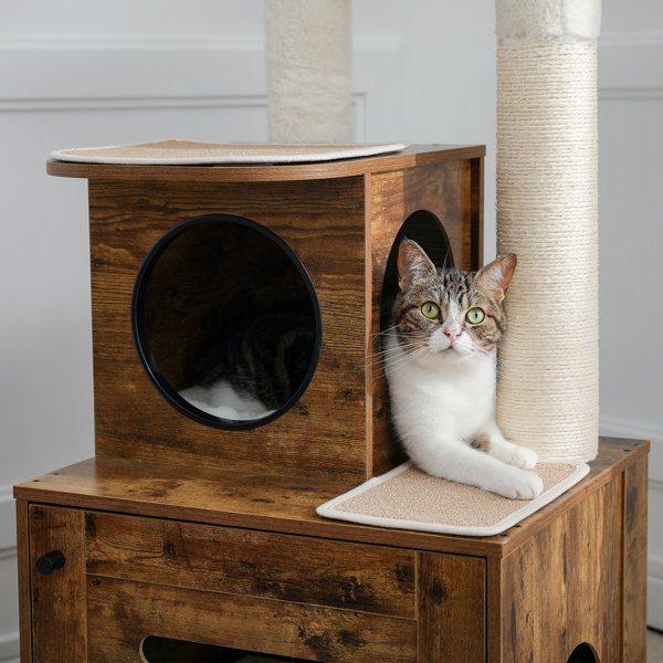 Tucker Murphy Pet™ Eluned 110.2'' H Cat Tree | Wayfair
